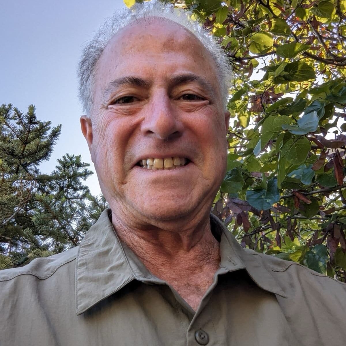 New Growth New Mexico - Albuquerque Mental Health Counseling